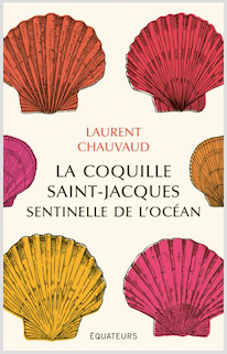 La coquille Saint-Jacques, un animal « à remonter le temps. » N°935 ...